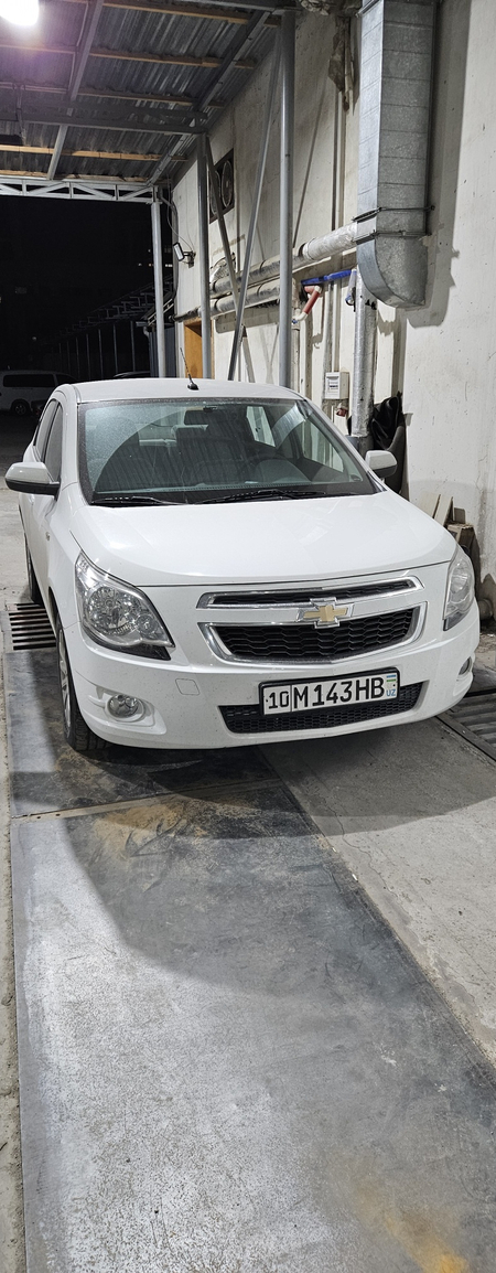 Продам колобка 2018 года выпуска