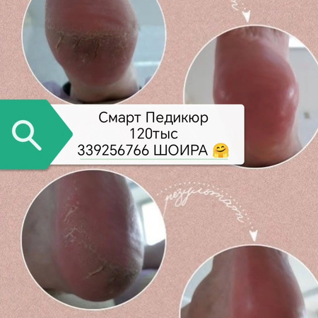 Красота наше радость