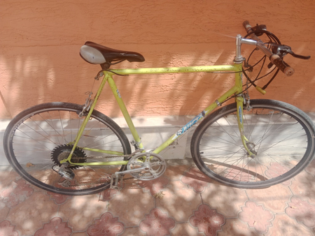 Аист velosiped orginal sportivniy