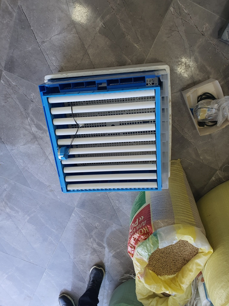 Inkubator sotiladi