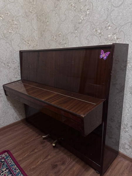 Пианино ластичка