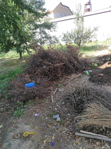 Utin tekinga дарам дарим дрова