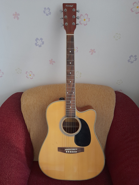 41 razmerli Akustik gitara. Homage