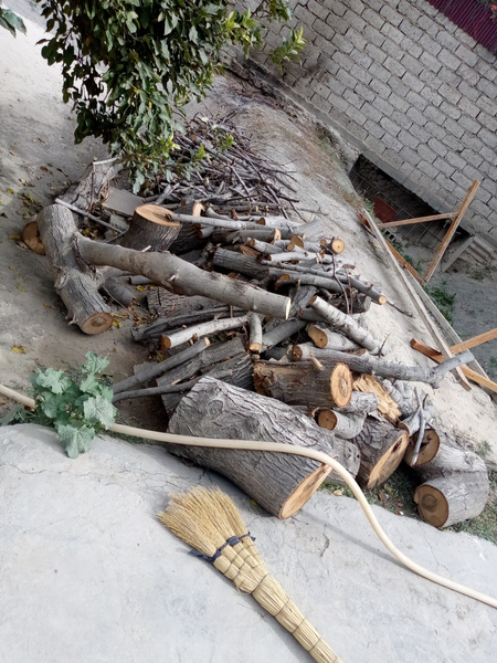 Utin sotiladi samarqand shaharda