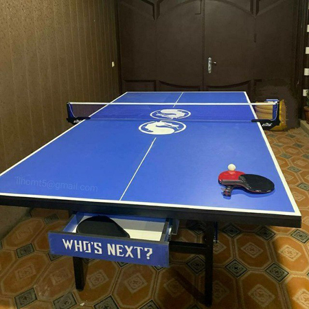 Stol tennis настольный теннис
