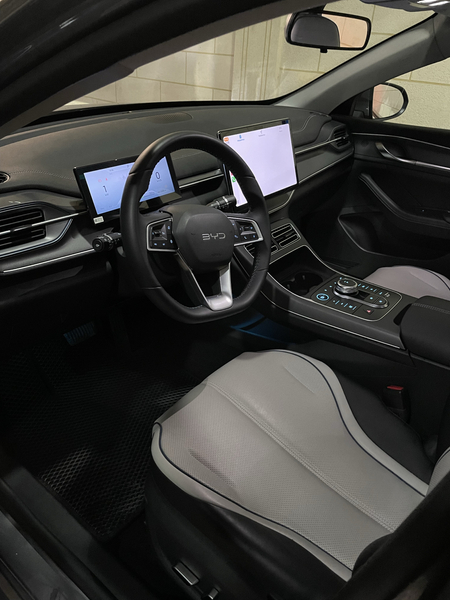 Byd chazor gibrid