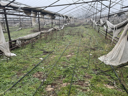 Продажа или в рассрочку земля