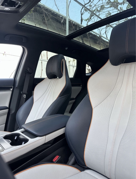 Byd chempion 2023 full 605