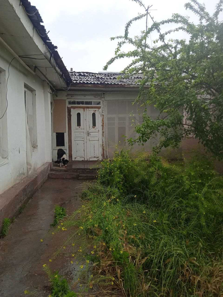 olim polvon orqasi 8sotix sotiladi yol yuzida joylashgan yolga yaqin