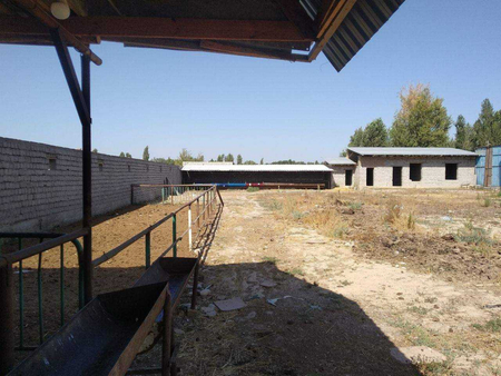Uy joy sotiladi! 10 sotihdan 2 ta tayyor biznesi bilan srochno