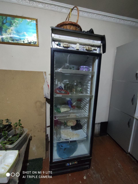 Манеж и Холодельник