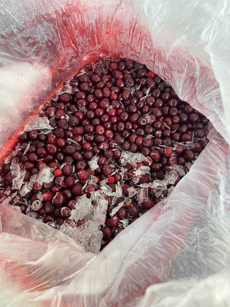 Замороженная вишня