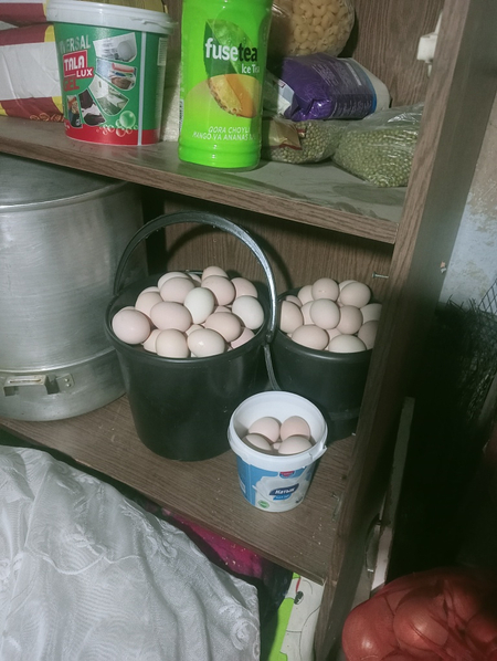 Всегда свежие домашние яйца.