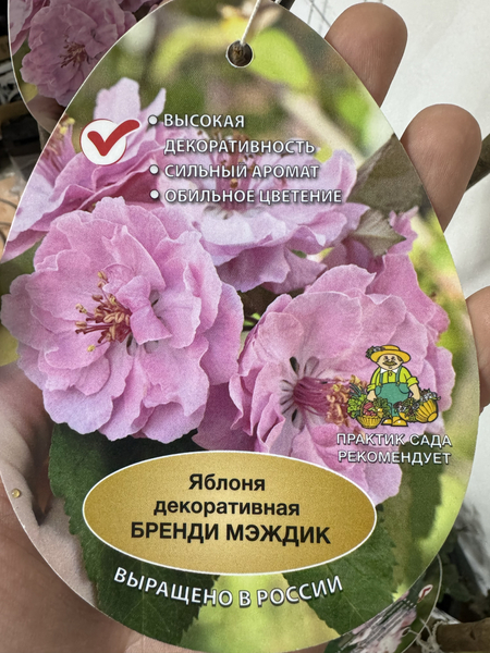 Садовые деревья