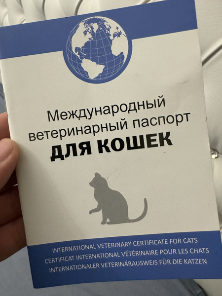 Отдам в добрые ручки