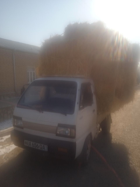 Sholi pres.1metrdan katta