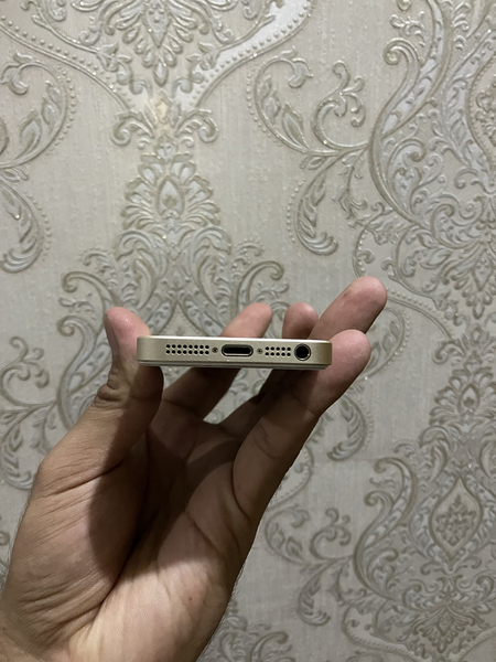 iPhone SE (1th gen)