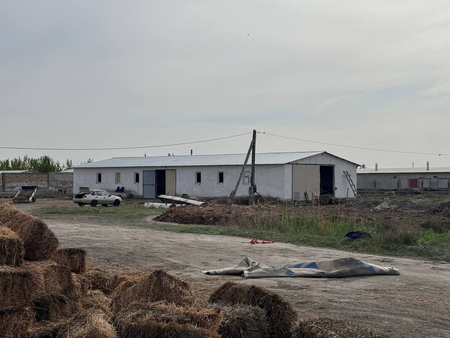 Мол хона биноси сотилади