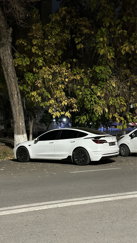 Tesla m3 dual restayling