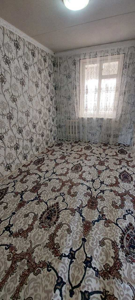 Studen qizlarni ijaraga quyamiz