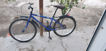 Velospet sotiladi