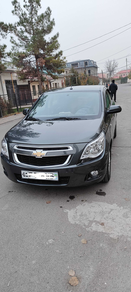 Cobalt style 2022г.