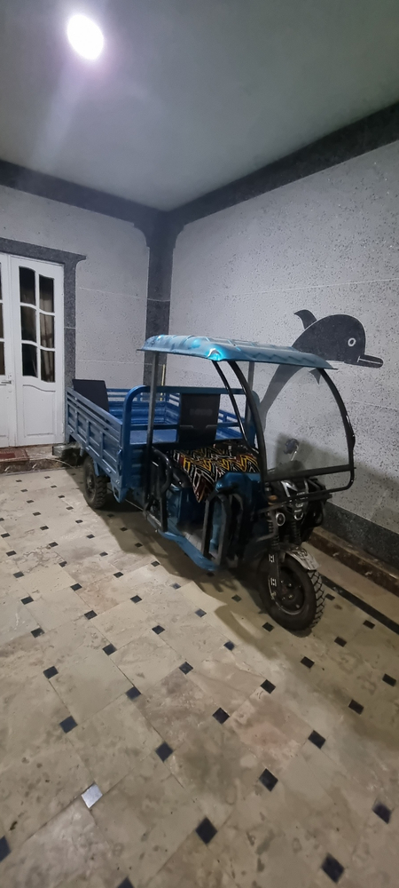 Elektro muravey sotiladdi