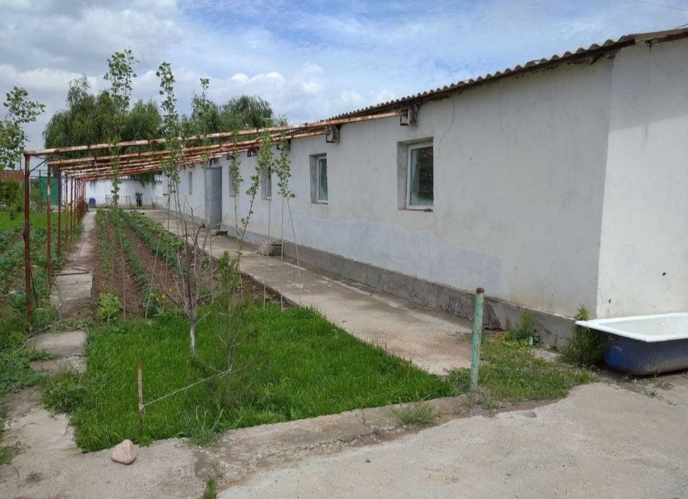 Продаю ферму в кибрай