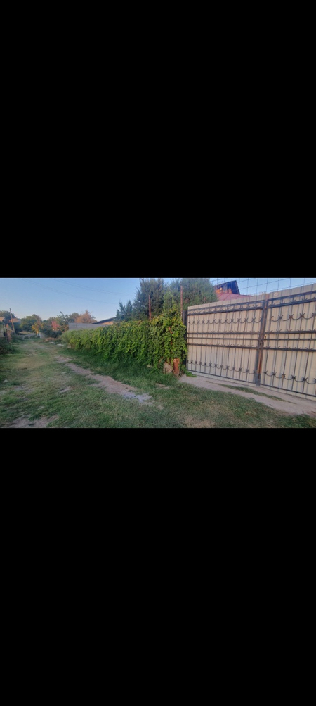 СВОЯ Дача, Навбахор 8сот