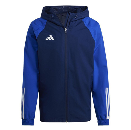 ADIDAS Ветровка Даждавик