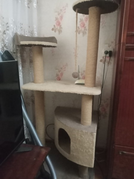 Кошачий домик .  .