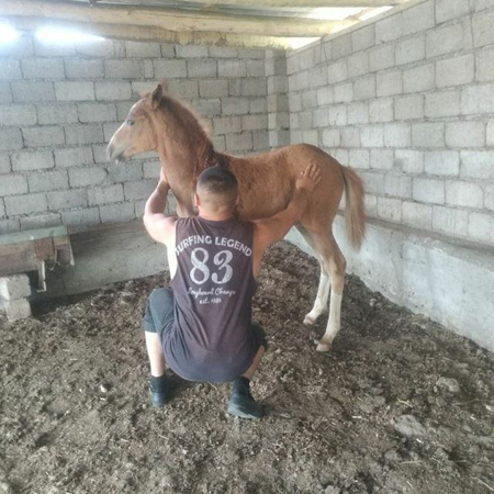 Vet vrach xizmati