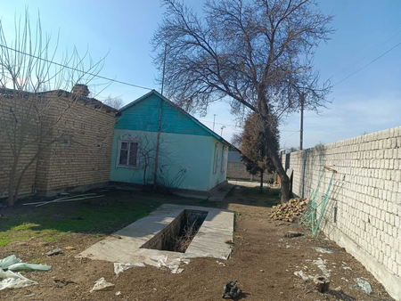 Noturar ferma 30 sotix yangiyul tumani Mihayolvkada 200 ta mol ketadi