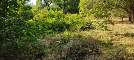 Parkentda uy sotiladi pul zarurligi uchun