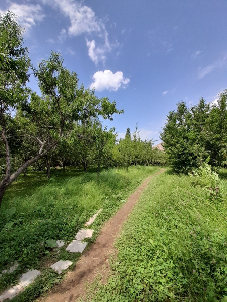 Tog'dan dacha sotiladi. (Срочно). Коттедж на продажу