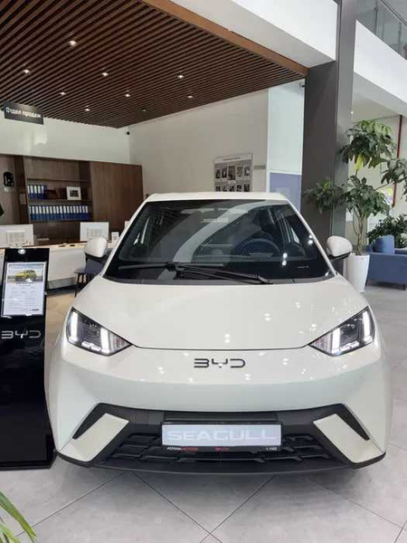 BYD seagull halol nasiya savda,boshlang\\\'ich 74 mln, yillik 12%
