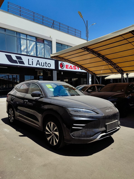 Byd chempion nalichada tayyor