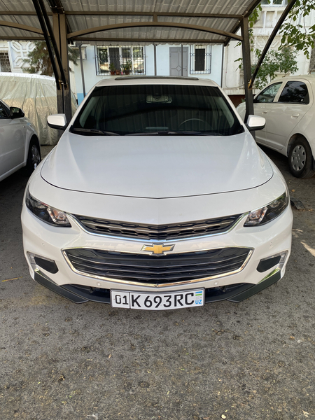 Malibu 2 2019 jemchug