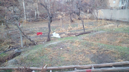 Srochna Hovli Sotiladi