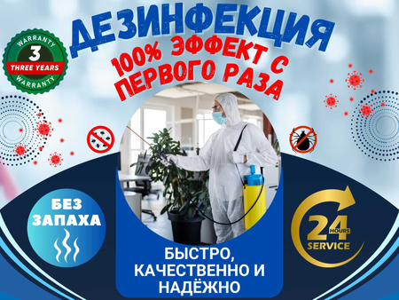 Дезинфекция Уничтожение тараканов, клопов, крыс с гарантией