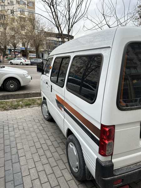 damas 2019 kuzuf