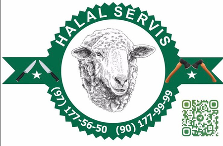 Қурбонлик учун қўчқорлар. Halal Servis