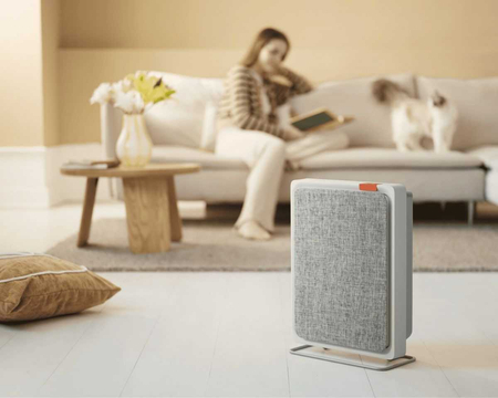 Очиститель воздуха Xiaomi Smartmi E1, версия Global