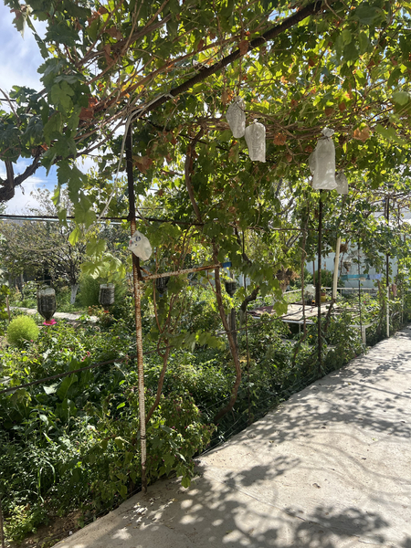 Dacha hovli 3 xonali katta xovli