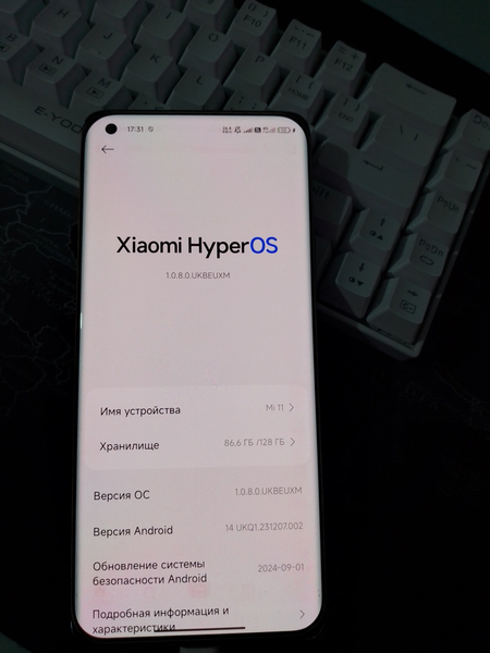 Xiaomi Mi 11 Flagman karobka dakument