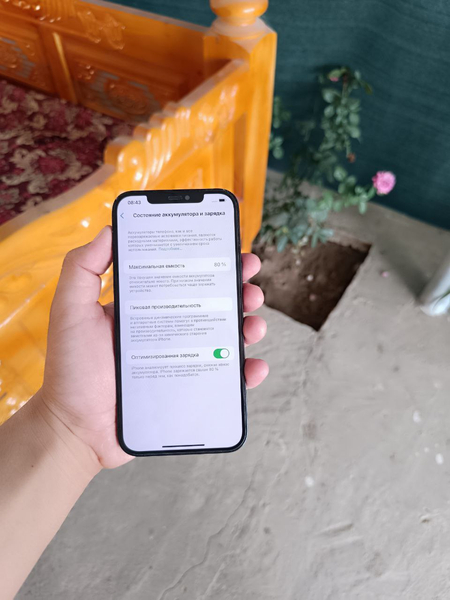 Iphone 12 pro max