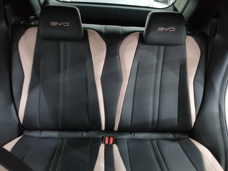 BYD Seagul Flaying edition