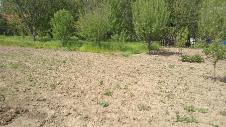 Dacha uchun yer sotiladi