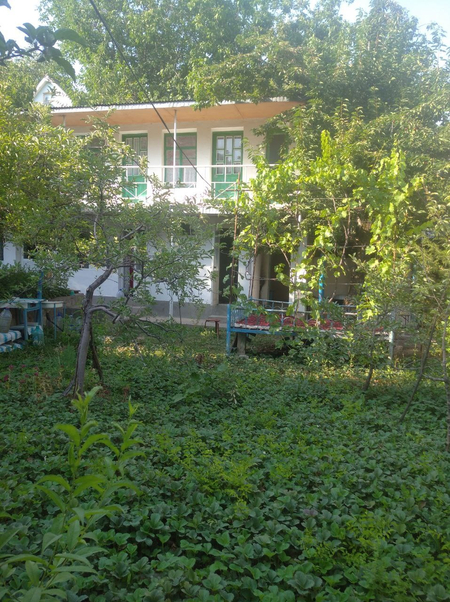 Dacha (chorvoqda)