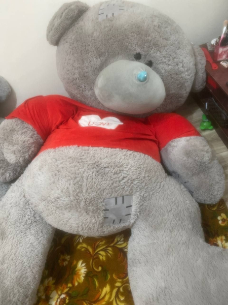 Teddy judayam kotta 2 merdan oshu